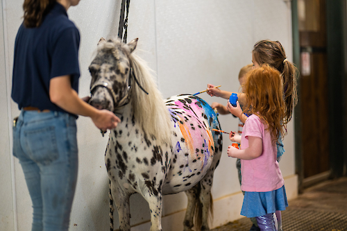 Paint the Pony: Artistic Fun at The Preserve Resort & Spa