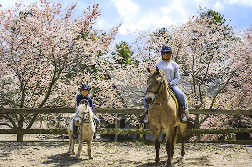 Scenic Pony Rides for Kids at The Preserve Resort & Spa